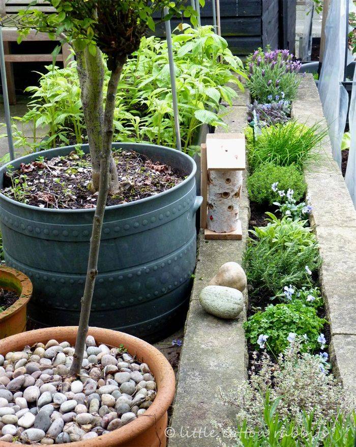 24 Container Gardening Wall Ideas You Cannot Miss | SharonSable