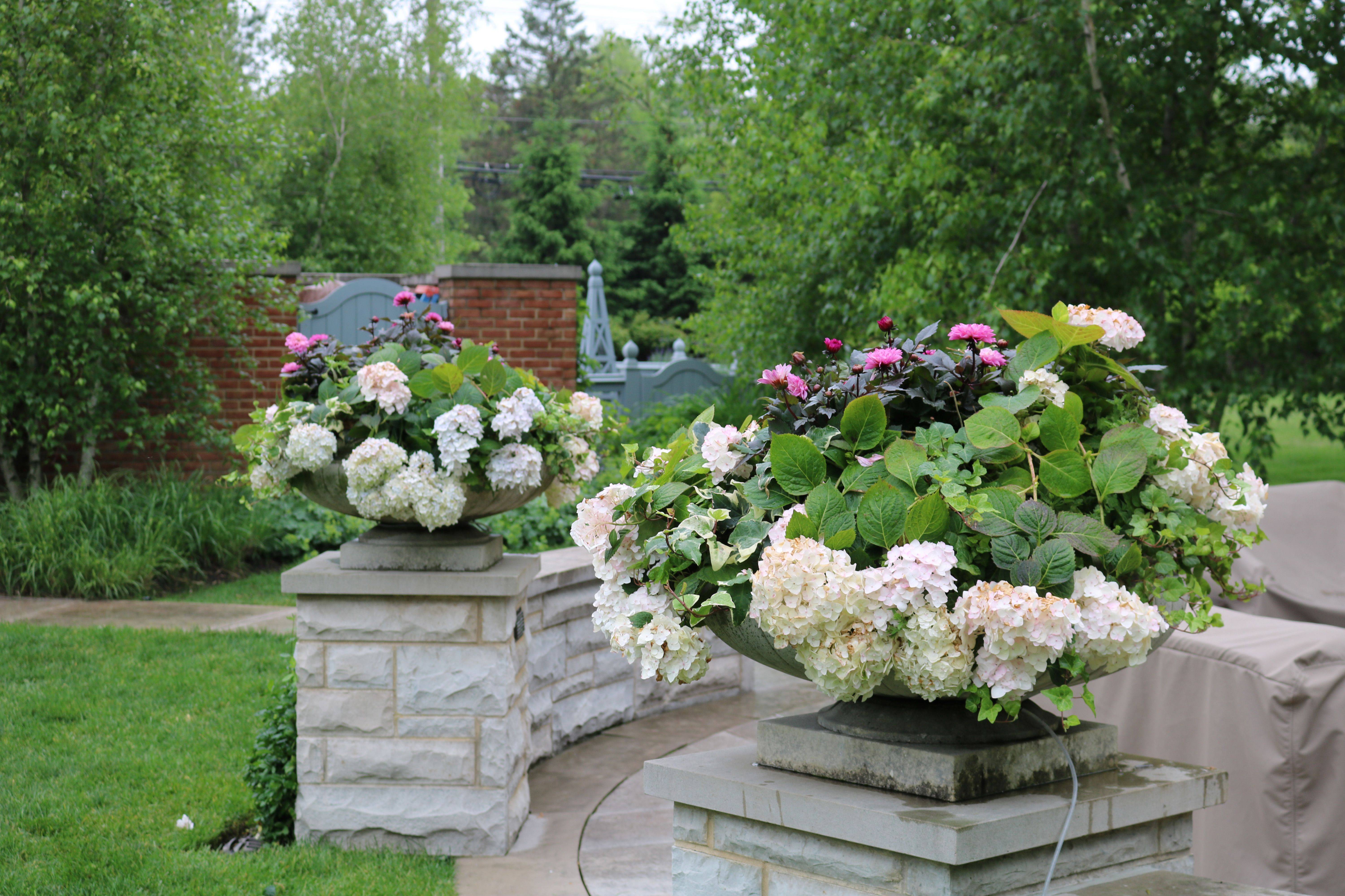 24 Container Gardening Wall Ideas You Cannot Miss | SharonSable