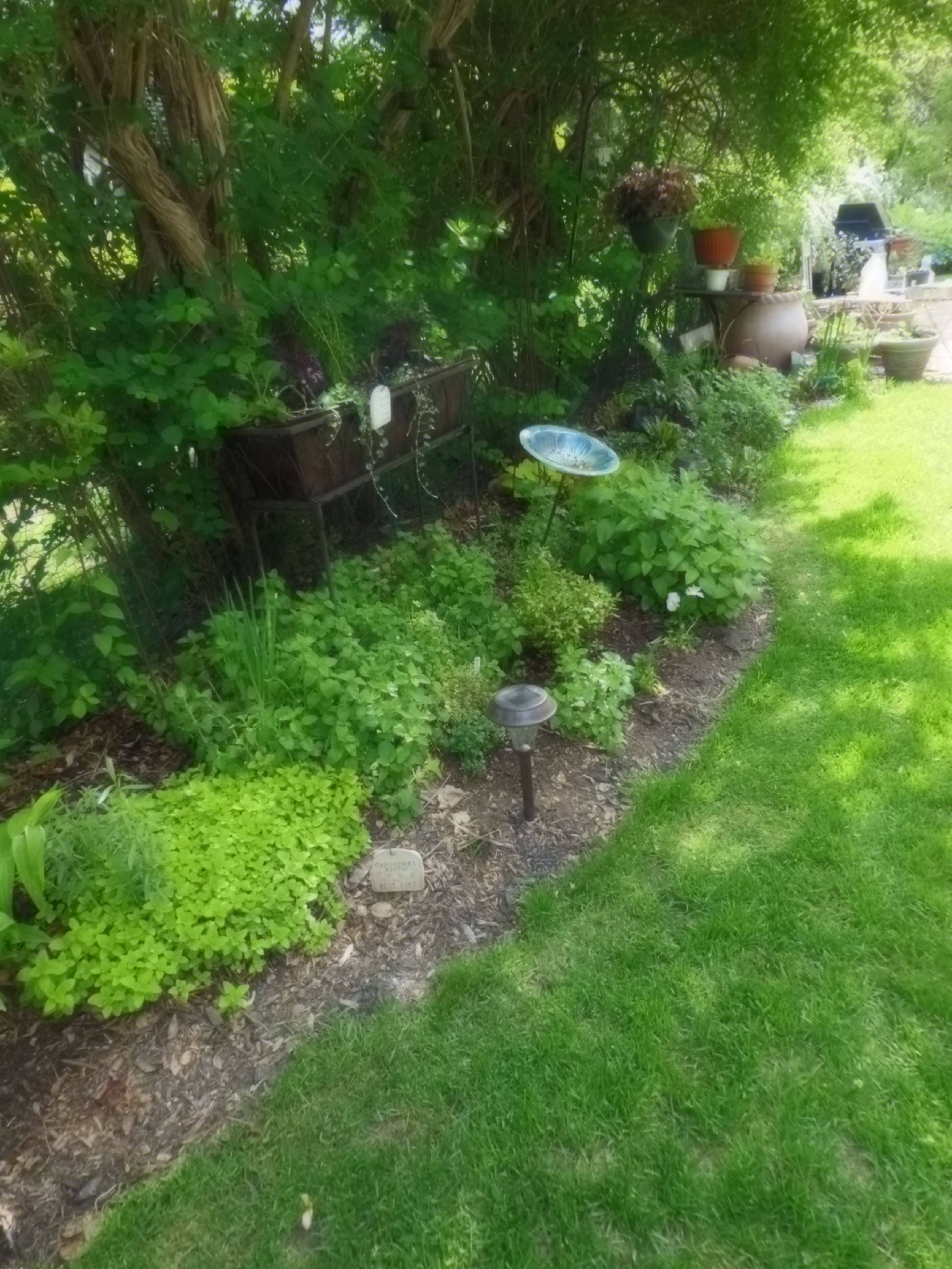 22 Spring Herb Garden Ideas You Must Look | SharonSable