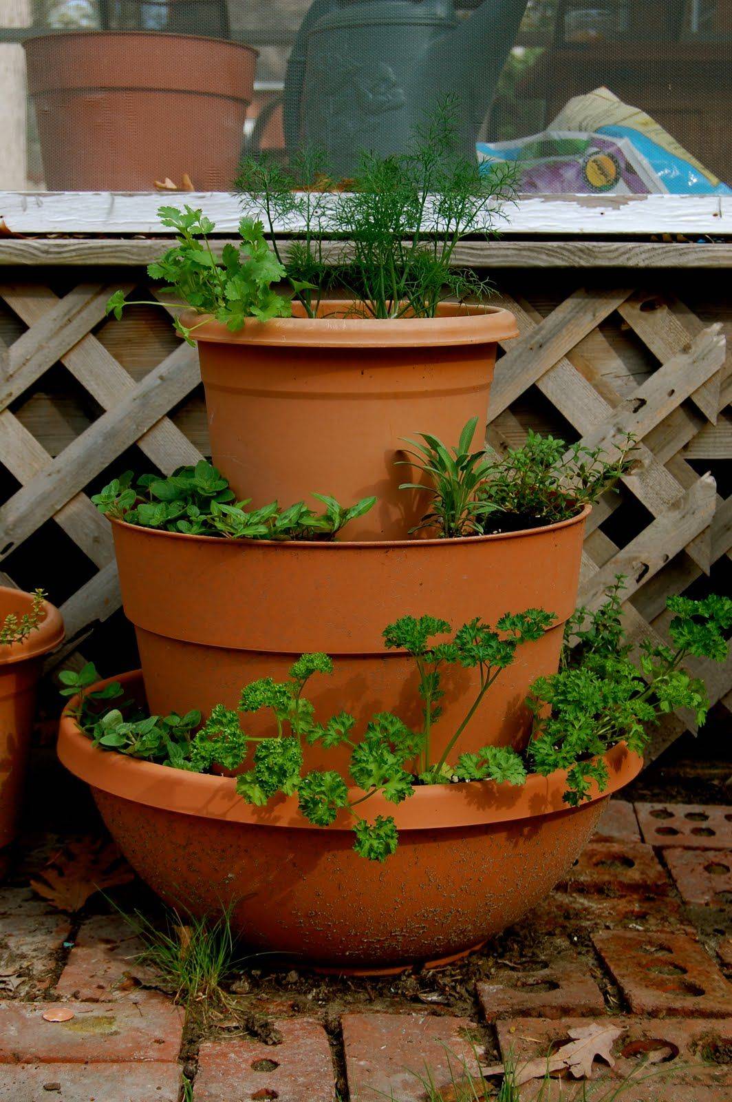 22 Spring Herb Garden Ideas You Must Look | SharonSable