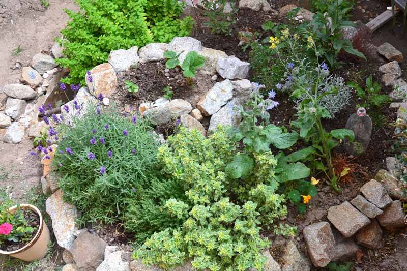 22 Spring Herb Garden Ideas You Must Look | SharonSable