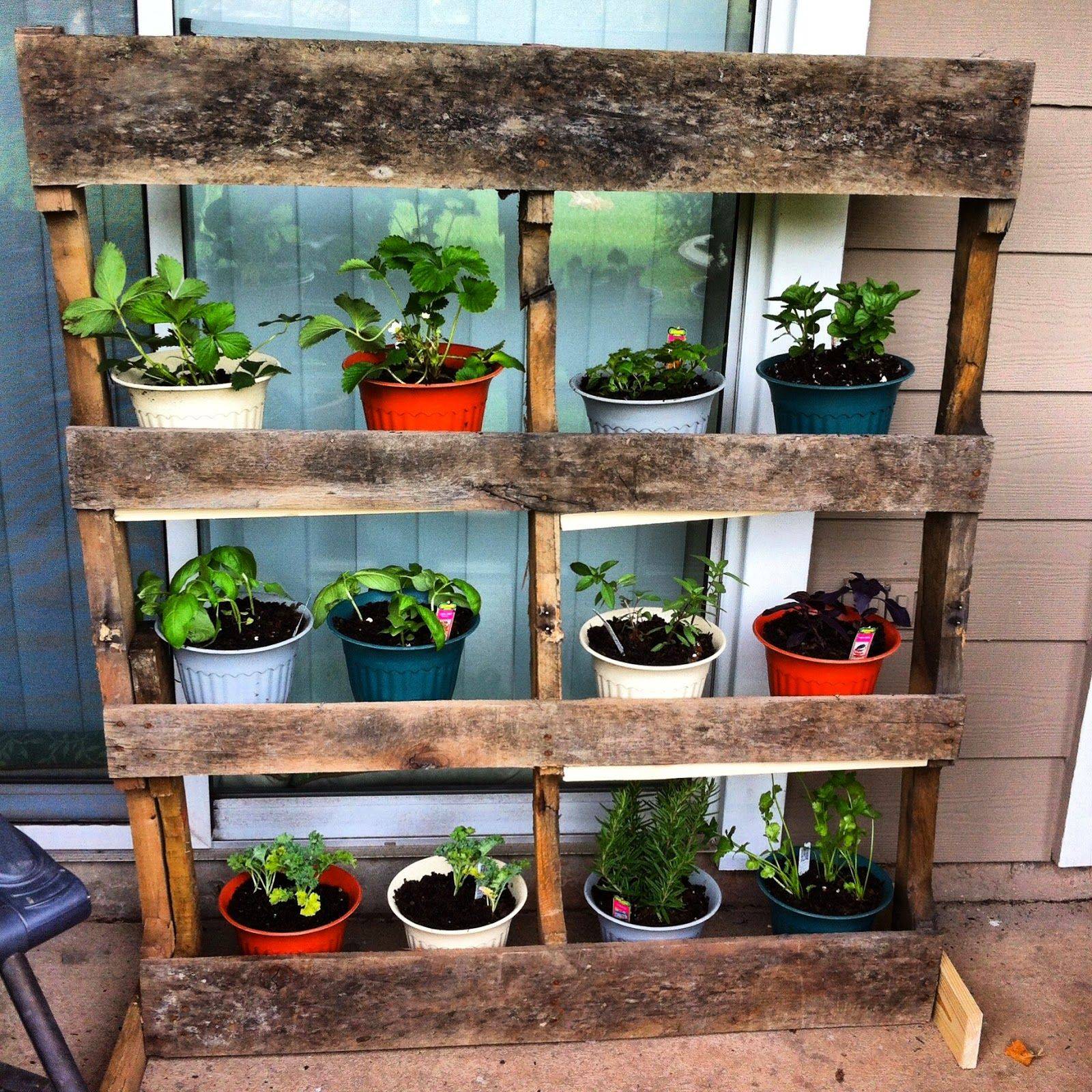 22 Spring Herb Garden Ideas You Must Look | SharonSable