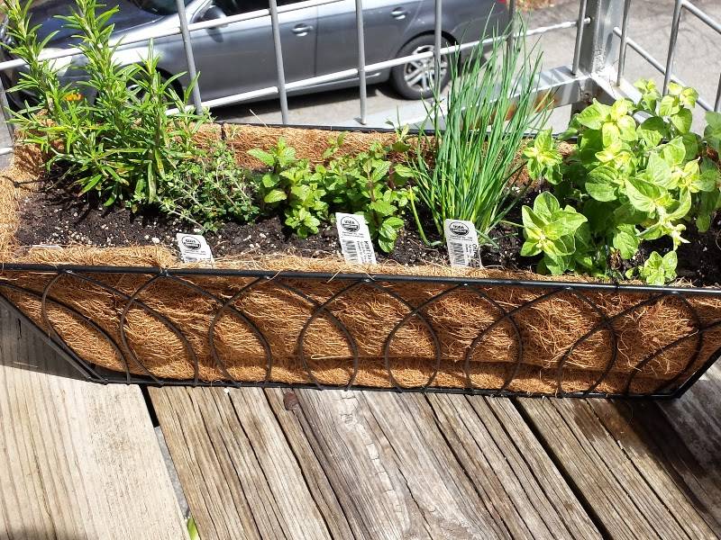 22 Spring Herb Garden Ideas You Must Look | SharonSable
