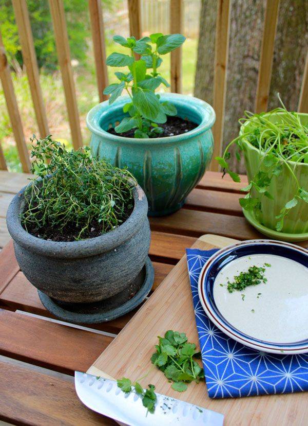 22 Spring Herb Garden Ideas You Must Look | SharonSable