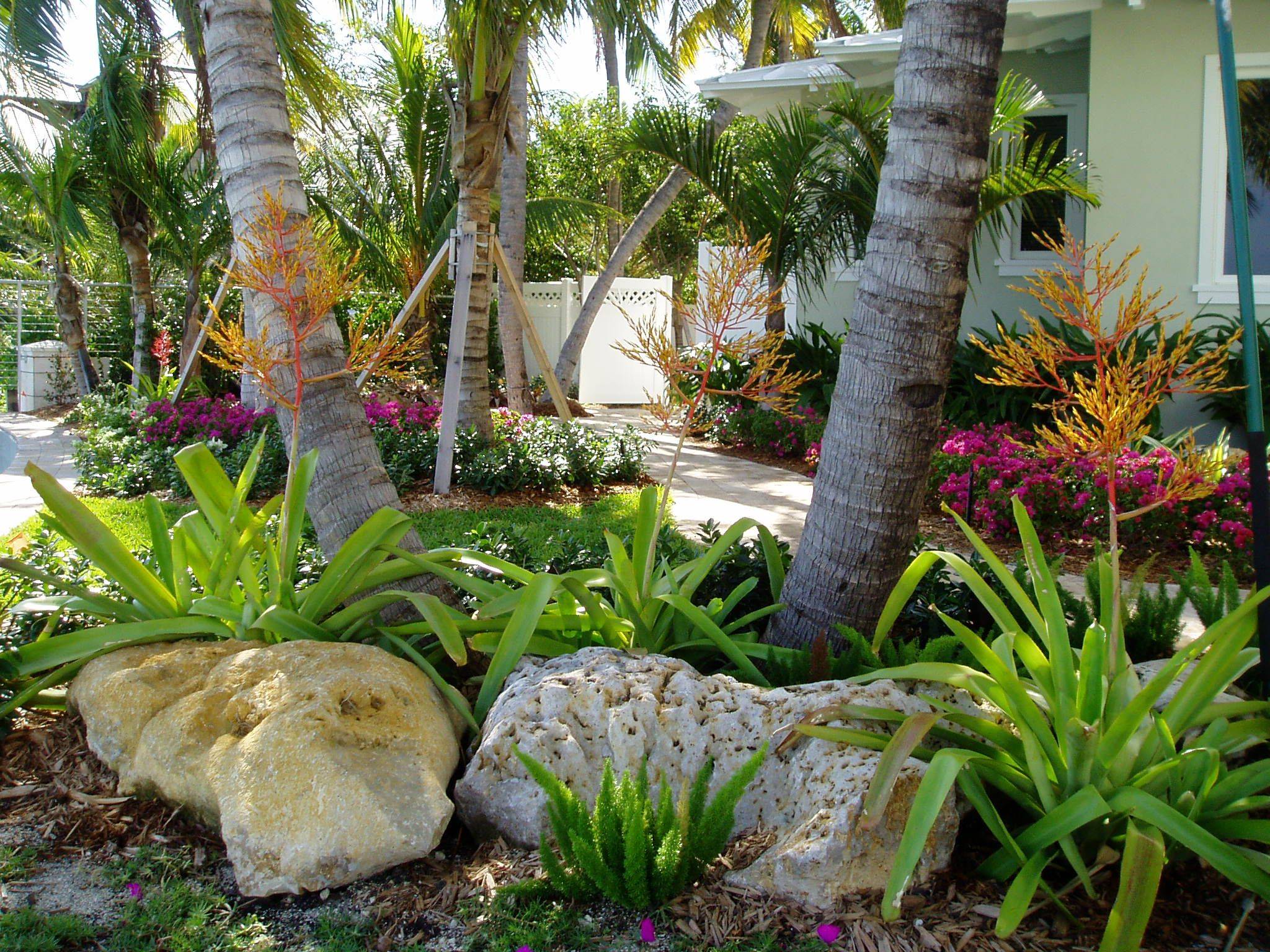 26 Florida Tropical Garden Design Plans Ideas To Try This Year ...