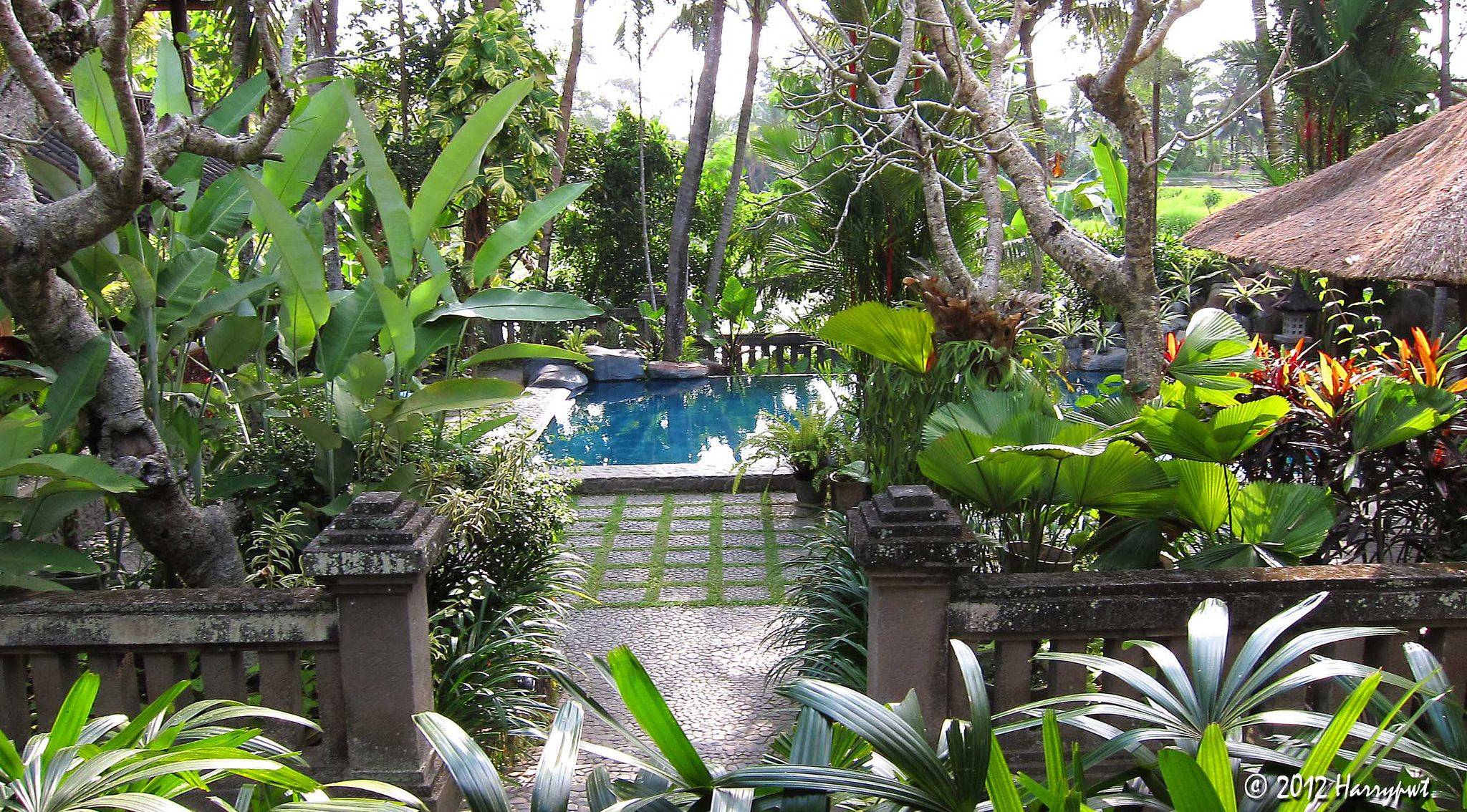 25 Bali Garden Design Ideas To Consider | SharonSable