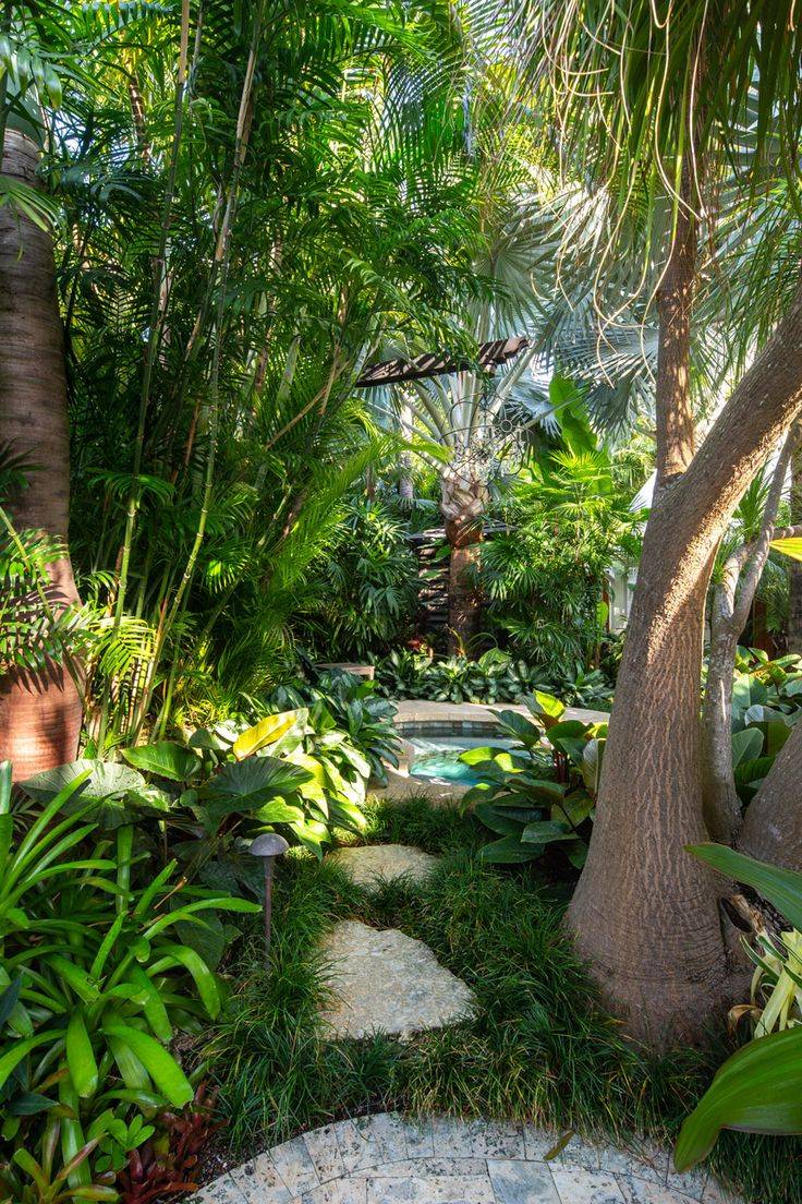 25 Small Space Small Tropical Garden Ideas You Cannot Miss | SharonSable
