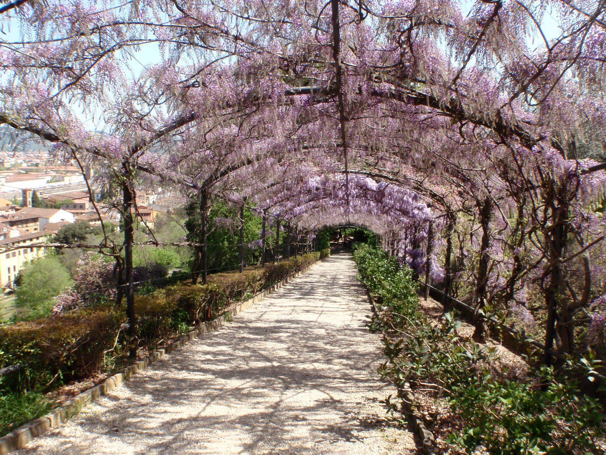 22 Boboli Garden Florence Italy Ideas You Should Check | SharonSable