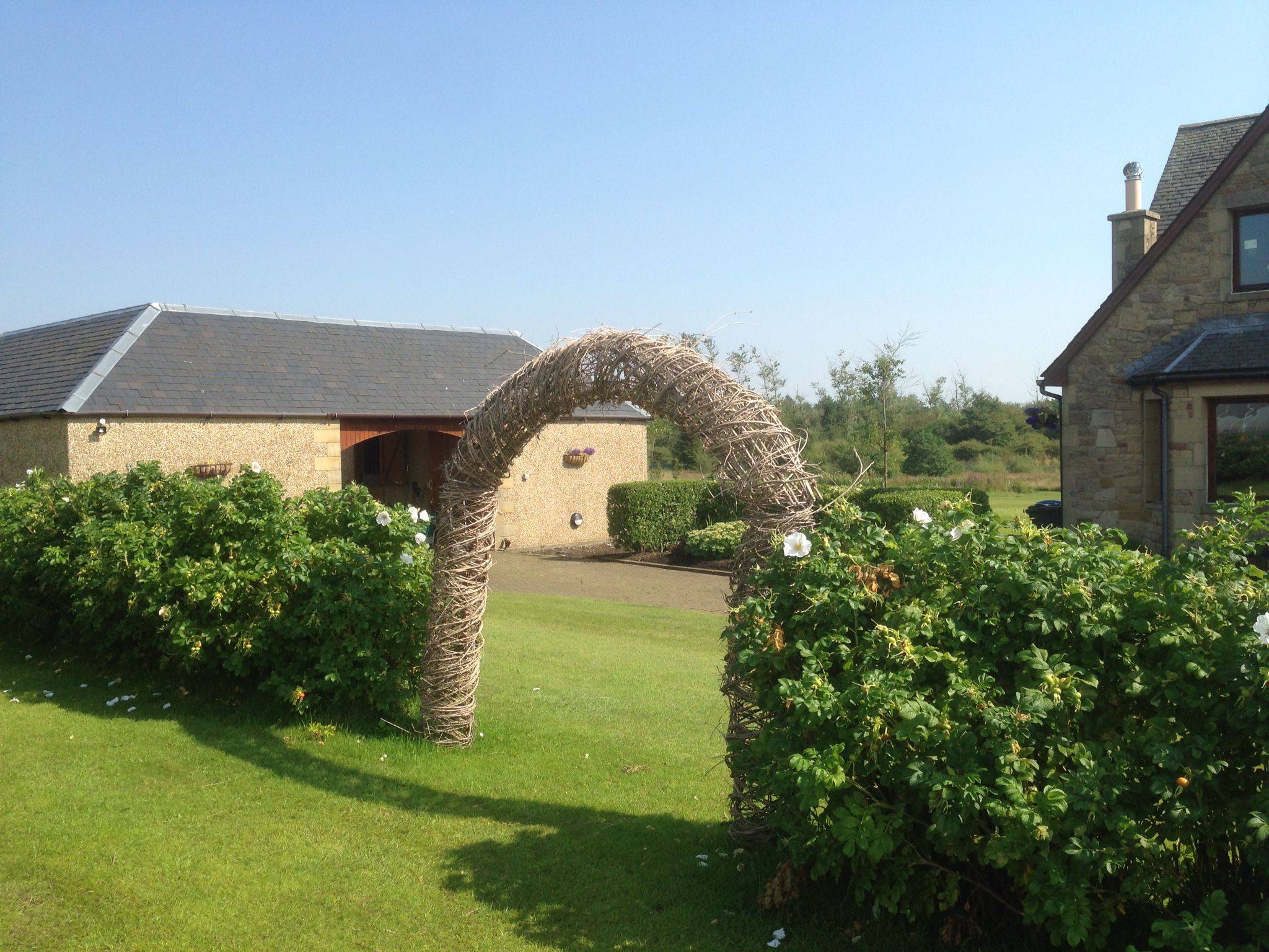 18 Willow Garden Arch Ideas Worth a Look | SharonSable