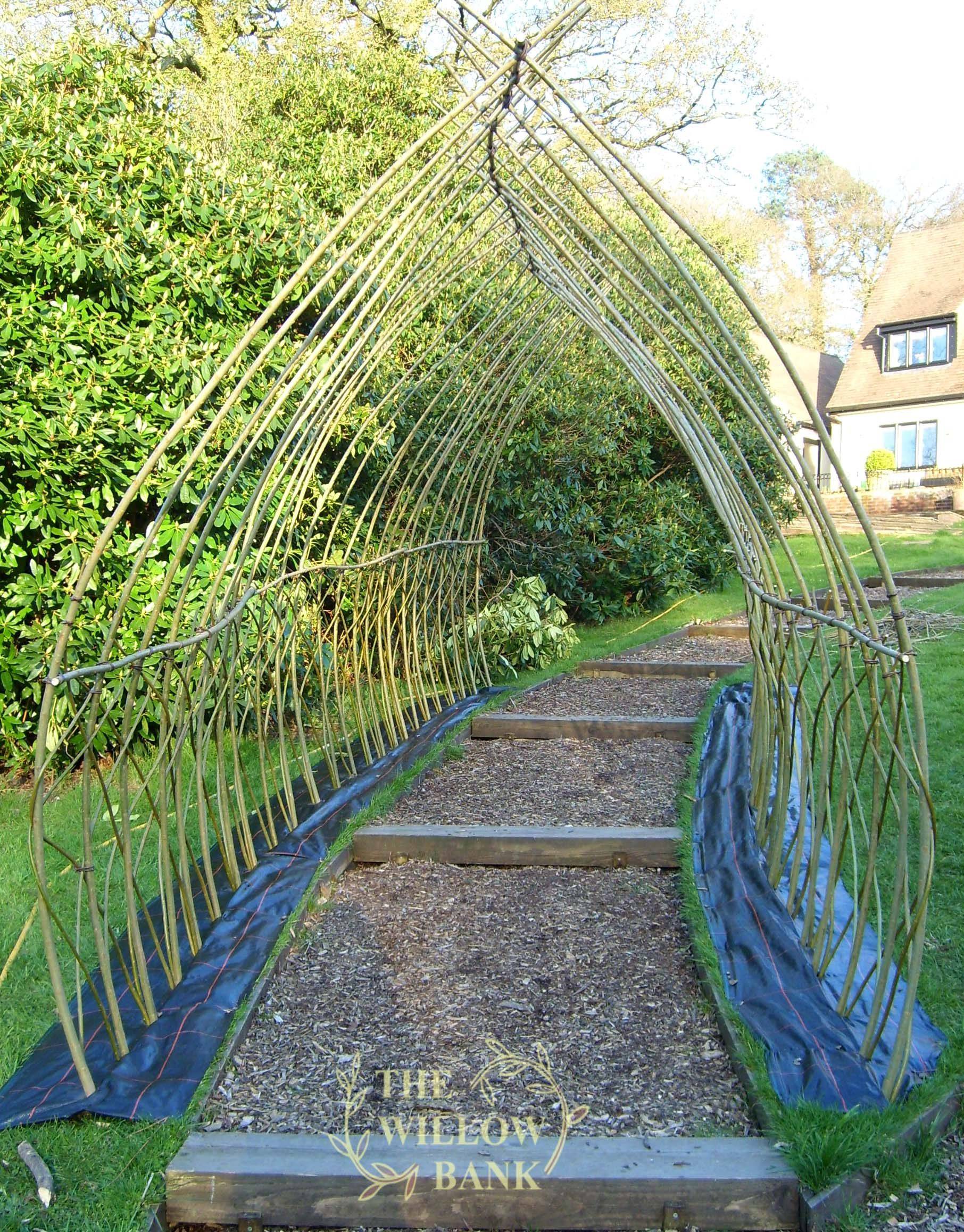 18 Willow Garden Arch Ideas Worth a Look | SharonSable