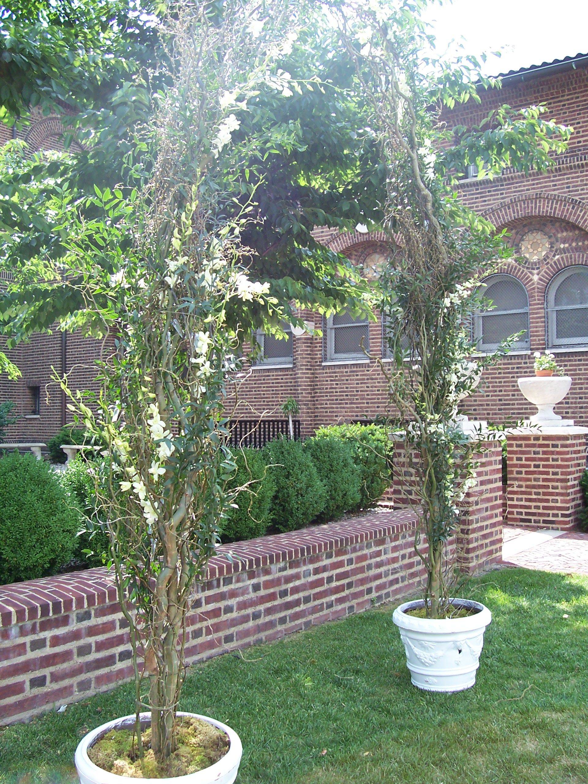 18 Willow Garden Arch Ideas Worth a Look | SharonSable