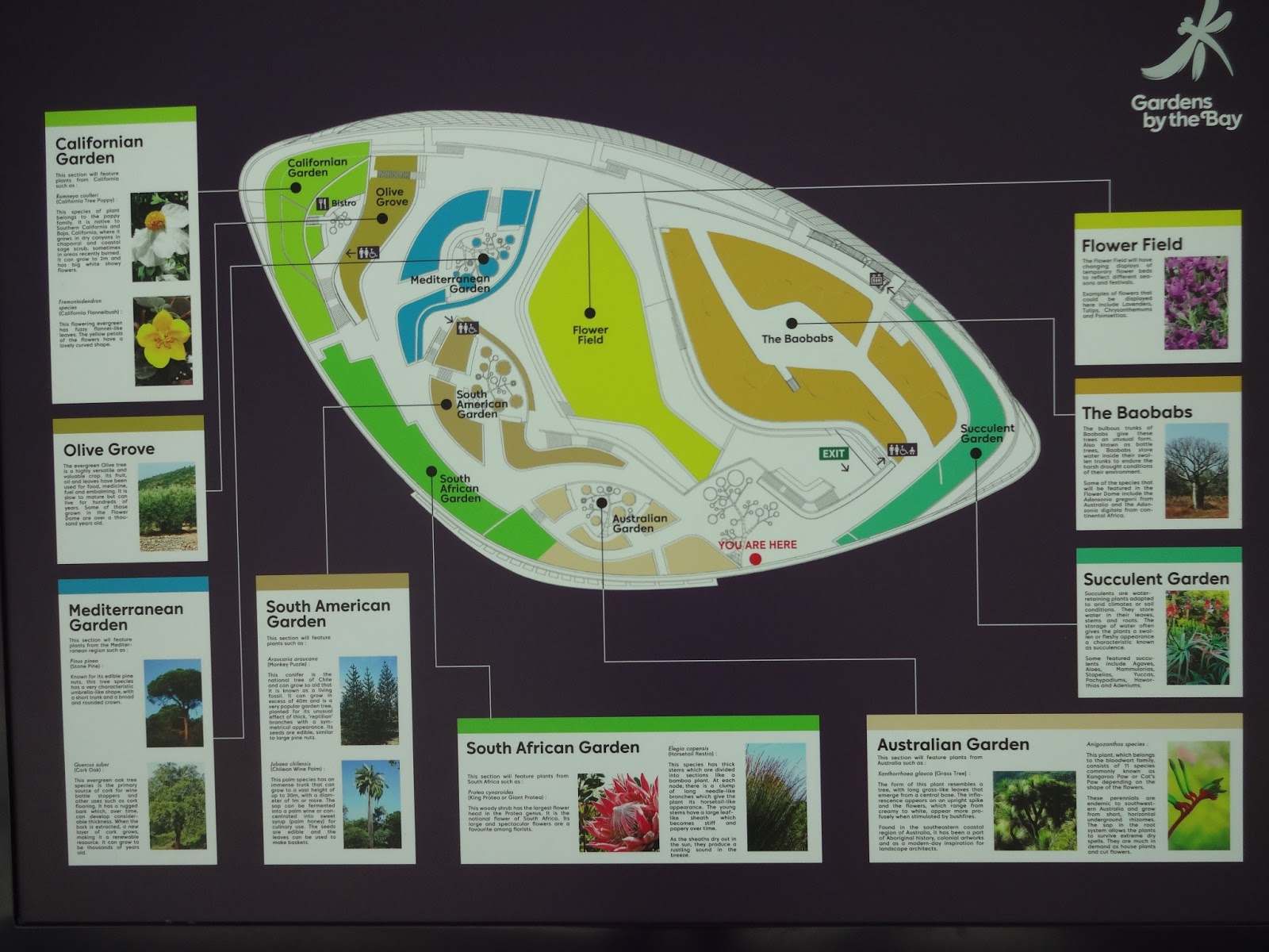 19 Sayen Garden Map Ideas You Cannot Miss | SharonSable