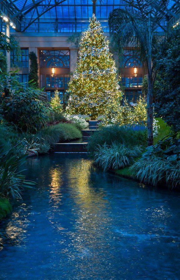 23 Christmas Lights at Longwood Garden Ideas For This Year | SharonSable