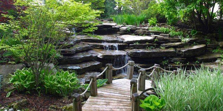 19 Du Pont Garden Ideas To Consider | SharonSable