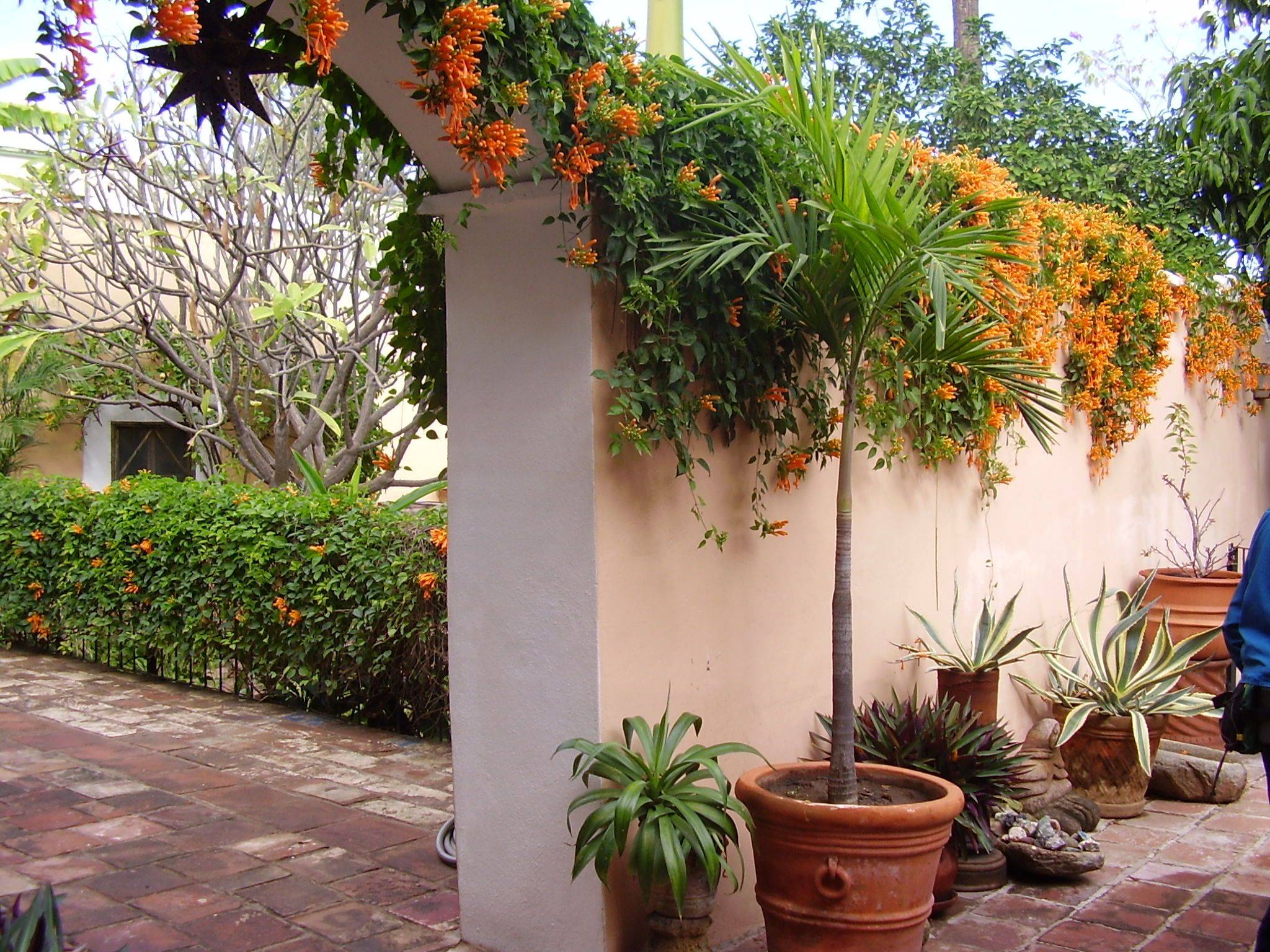 23 Mexican Garden Wall Ideas You Must Look | SharonSable