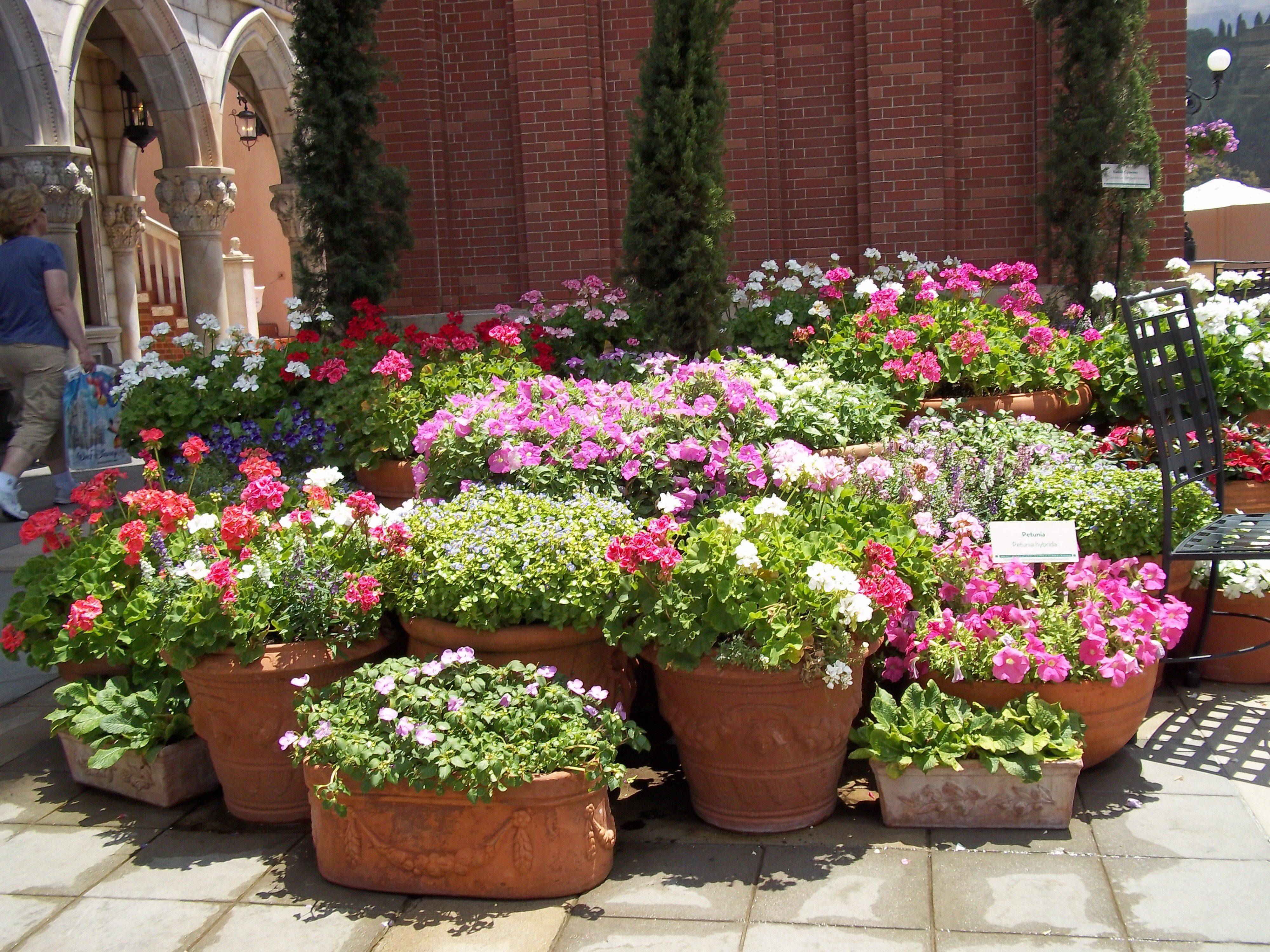 21 Of Italian Garden Using Pots Ideas To Try This Year | SharonSable