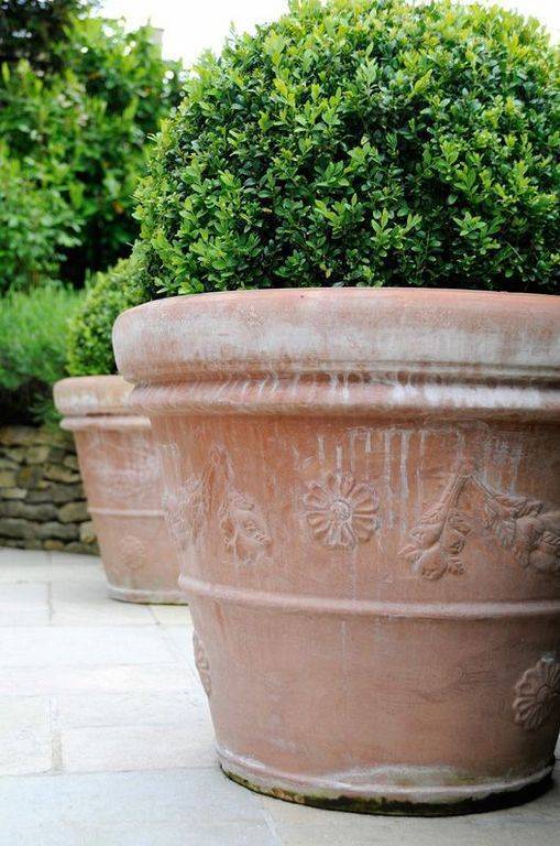 21 Of Italian Garden Using Pots Ideas To Try This Year | SharonSable