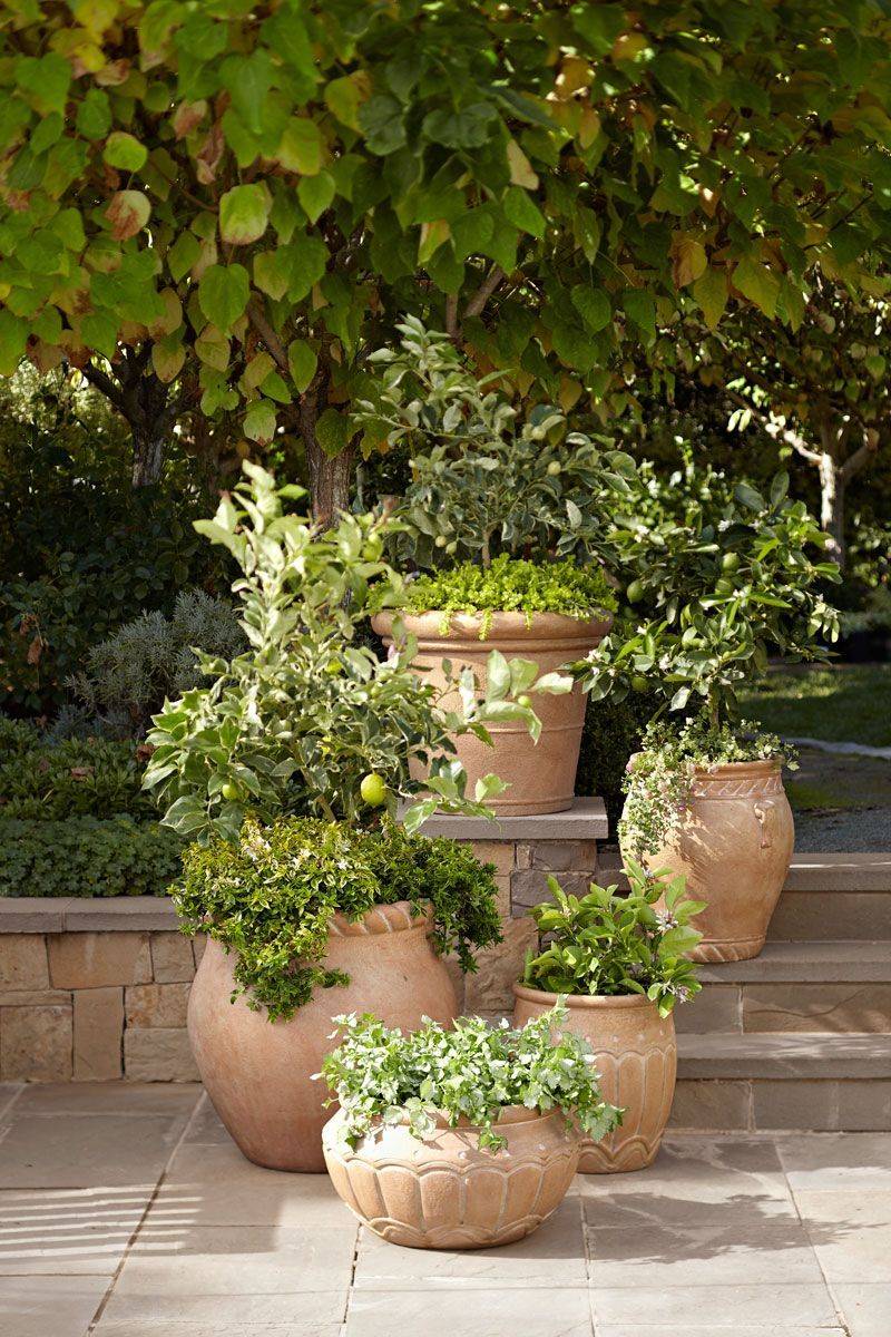 21 Of Italian Garden Using Pots Ideas To Try This Year | SharonSable