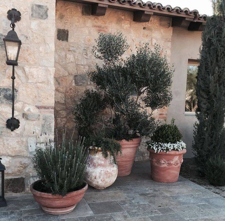 21 Of Italian Garden Using Pots Ideas To Try This Year | SharonSable