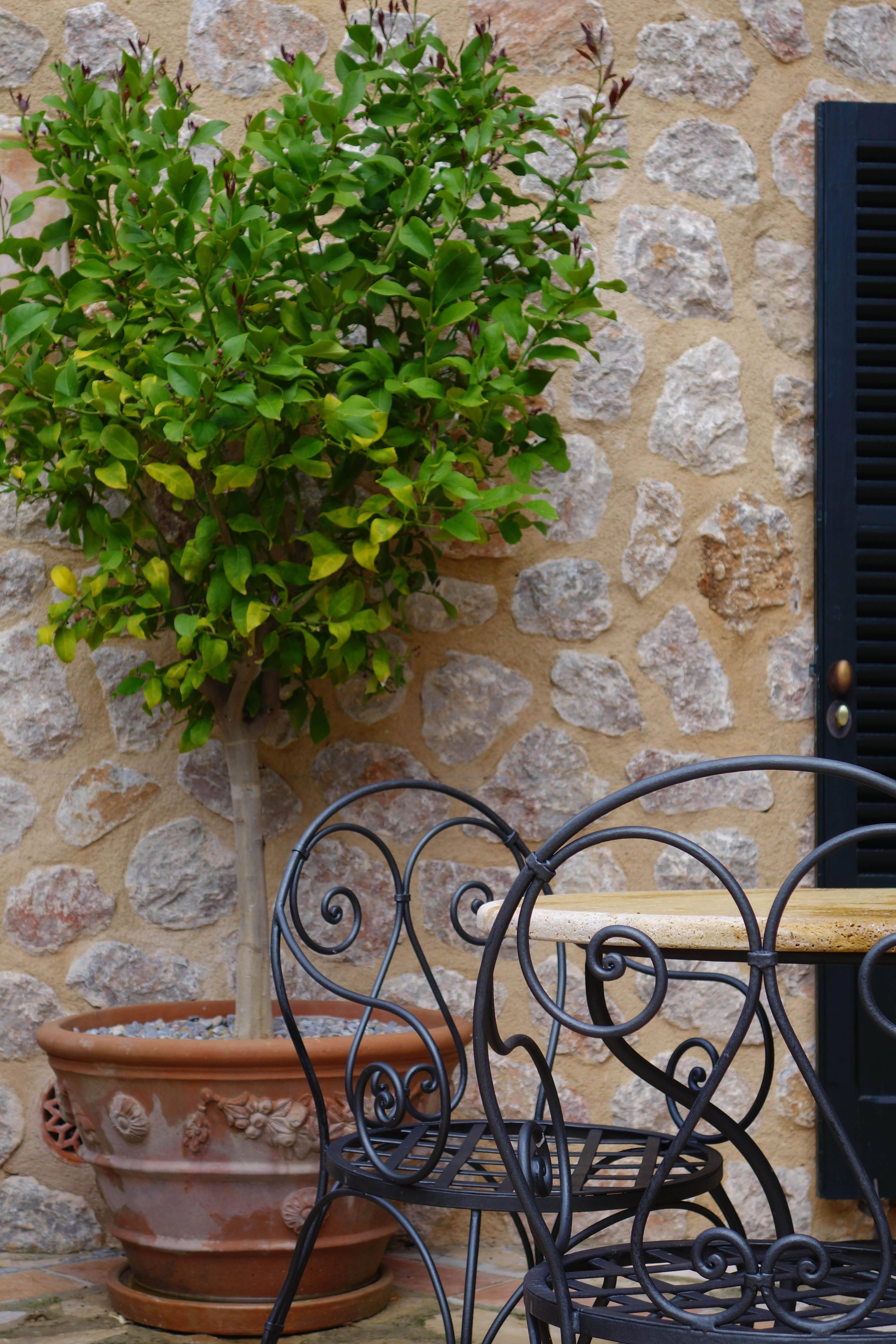 21 Of Italian Garden Using Pots Ideas To Try This Year | SharonSable