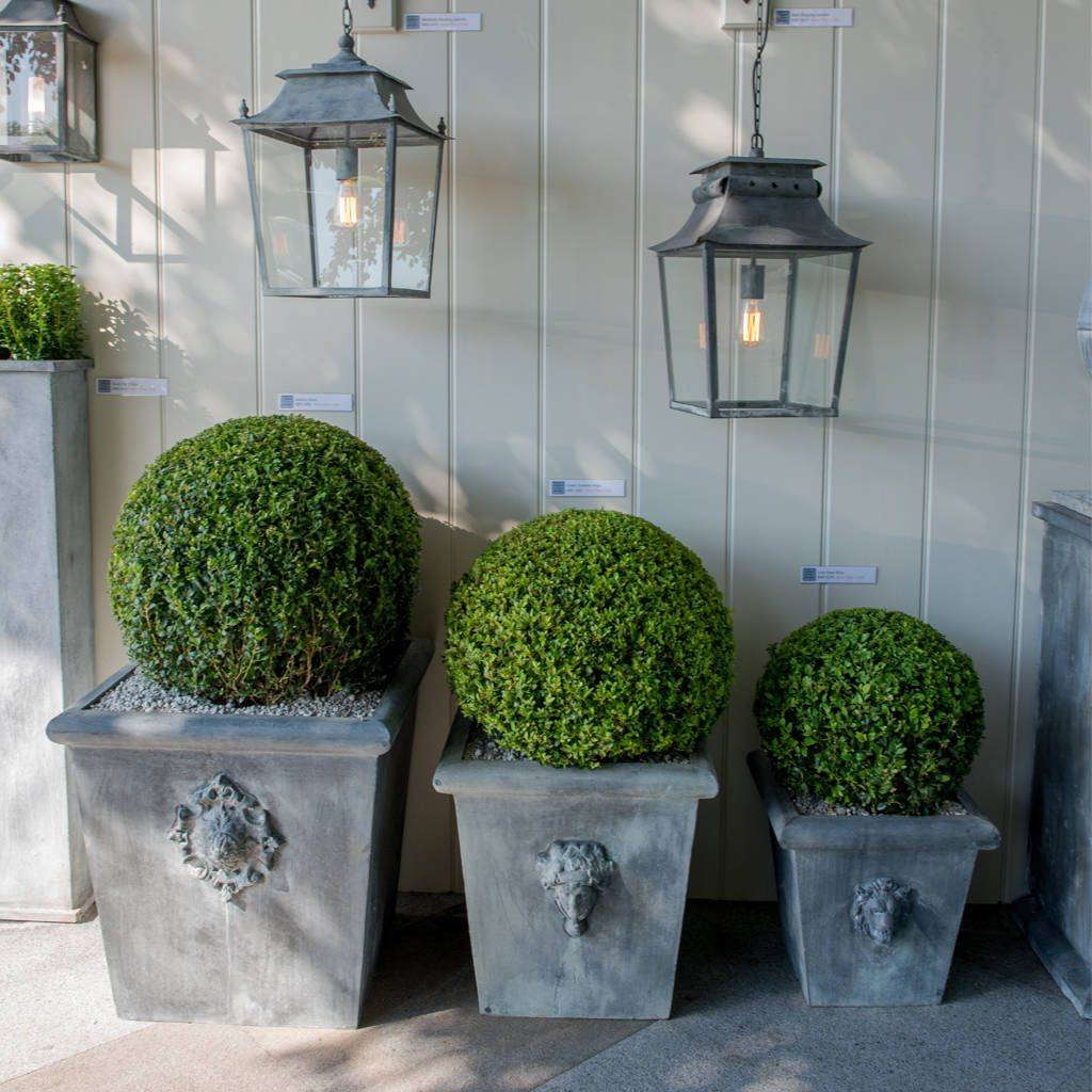 21 Of Italian Garden Using Pots Ideas To Try This Year | SharonSable
