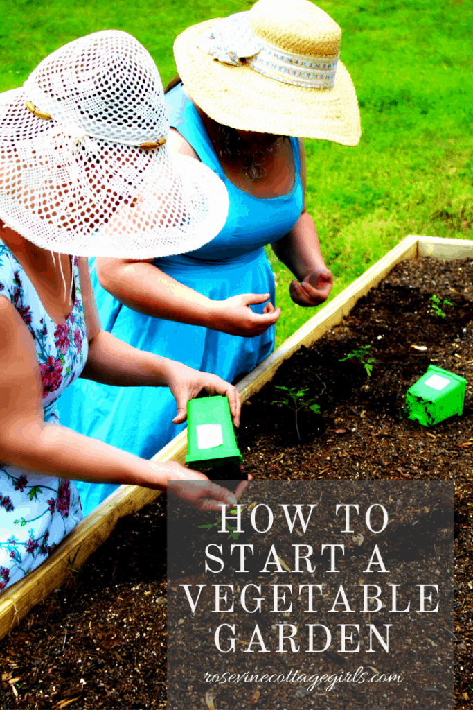 16 Start a Garden From Scratch Ideas To Consider | SharonSable