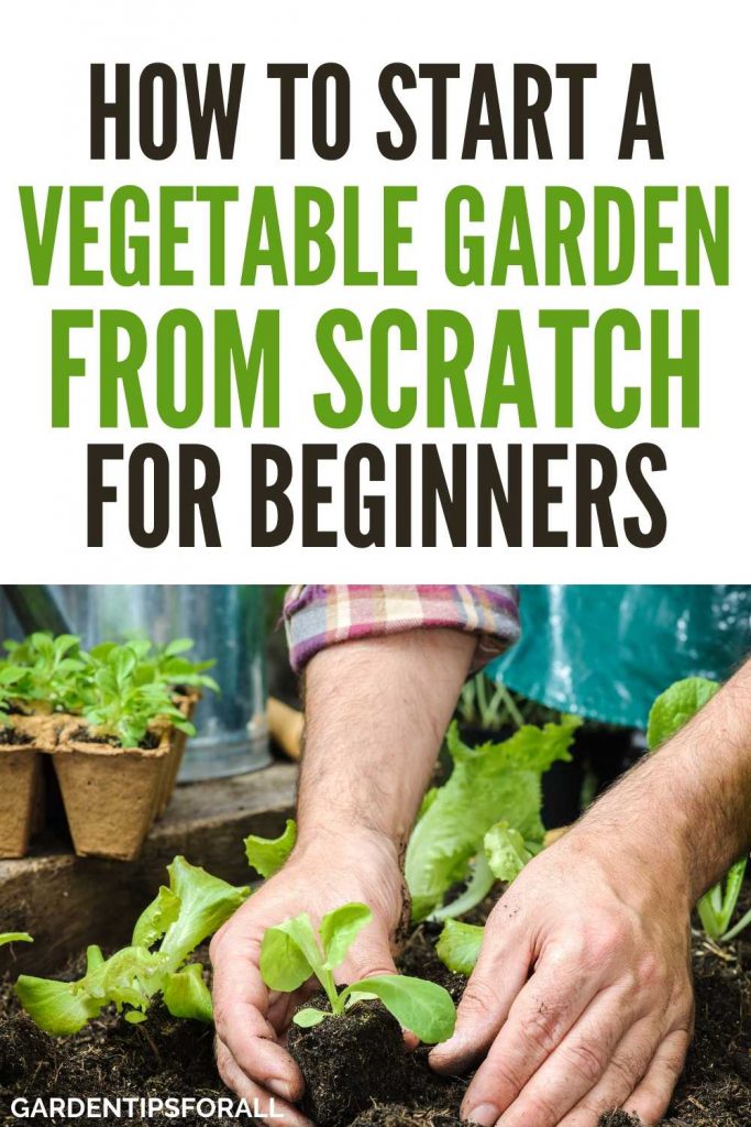16 Start a Garden From Scratch Ideas To Consider | SharonSable