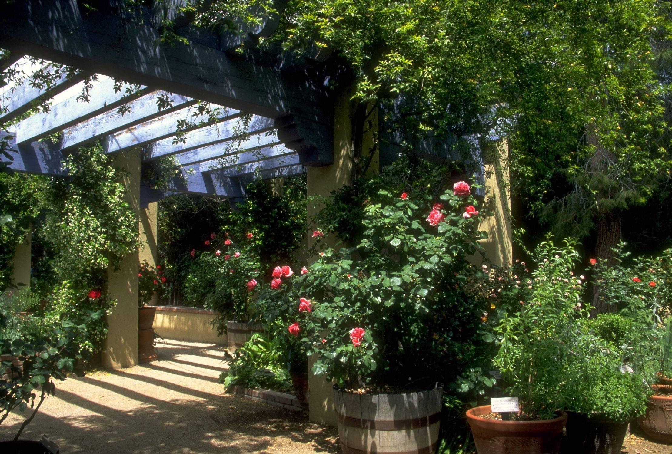 21 Tucson Botanical Garden Ideas Worth to Check | SharonSable