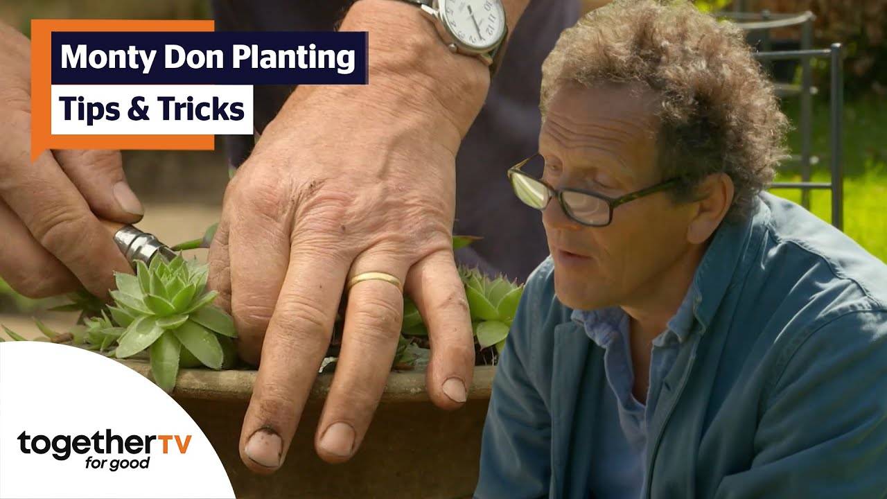 21 Big Dreams Garden Monty Don Ideas To Try This Year | SharonSable