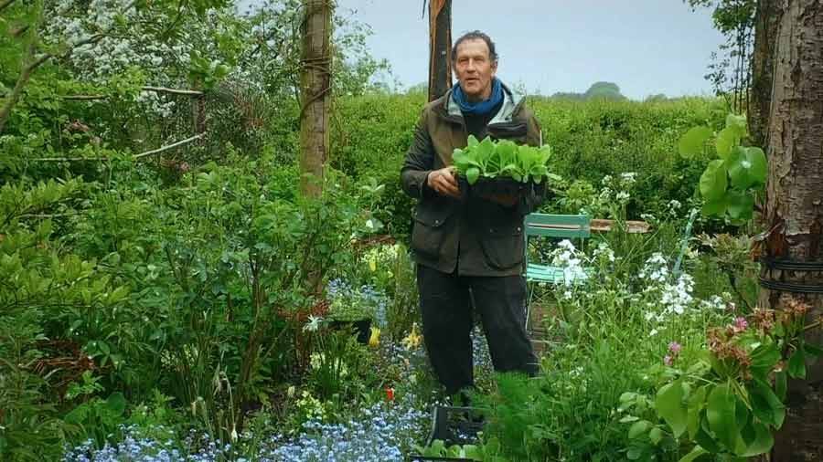 20 Gardeners World 2021 Episode 8 Hdclump Ideas Worth a Look | SharonSable