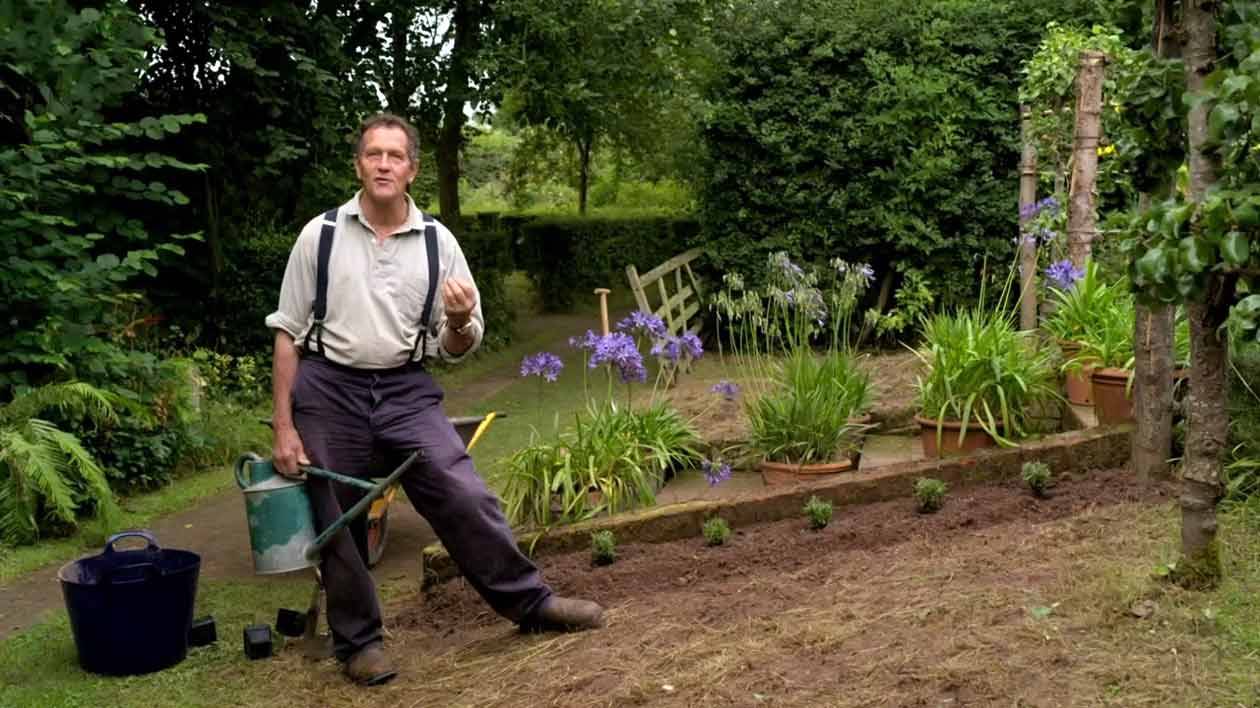 20 Gardeners World 2021 Episode 8 Hdclump Ideas Worth a Look | SharonSable