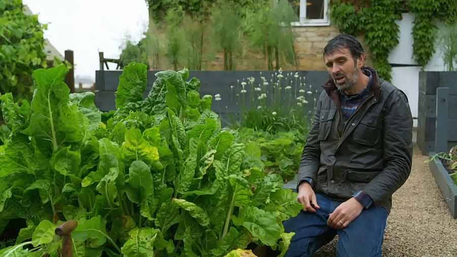 20 Gardeners World 2021 Episode 8 Hdclump Ideas Worth a Look | SharonSable