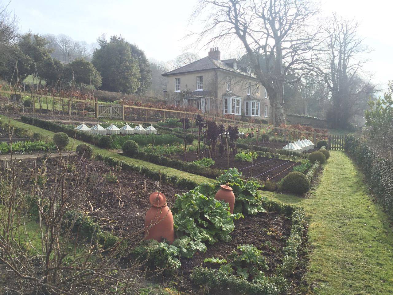 17 Garden Ideas Homestead You Should Look | SharonSable