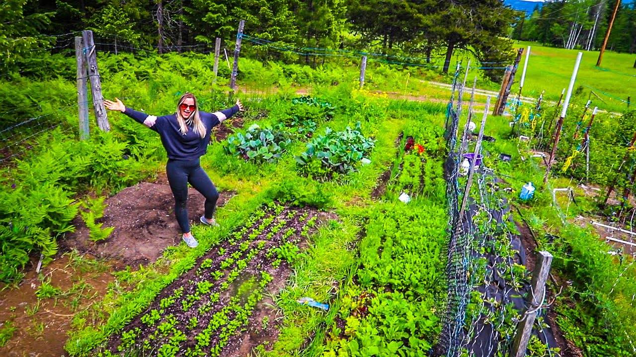 17 Homestead Gardening Ideas You Should Check | SharonSable