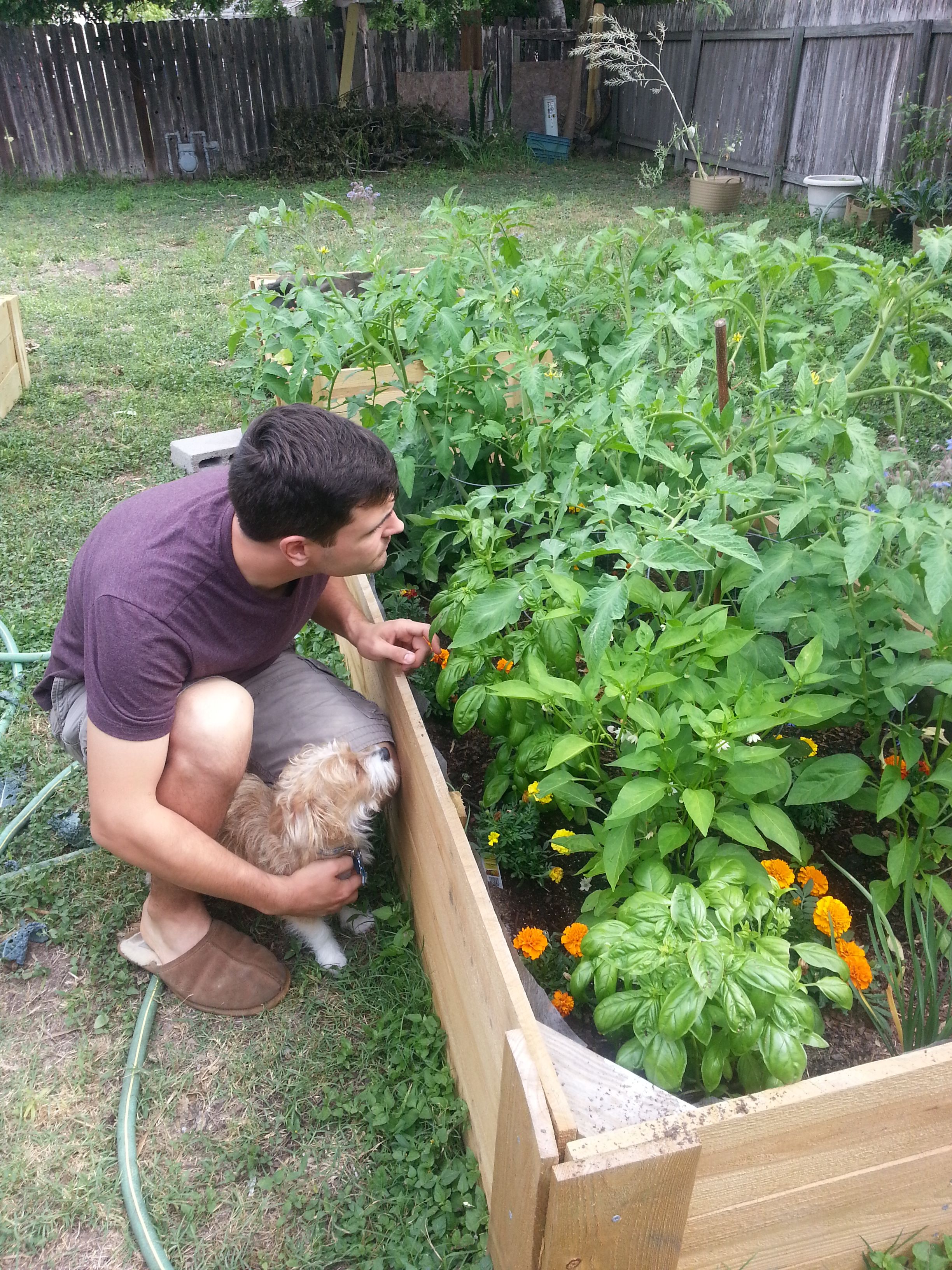 20 Edible Garden Design and Layouts Ideas You Gonna Love | SharonSable