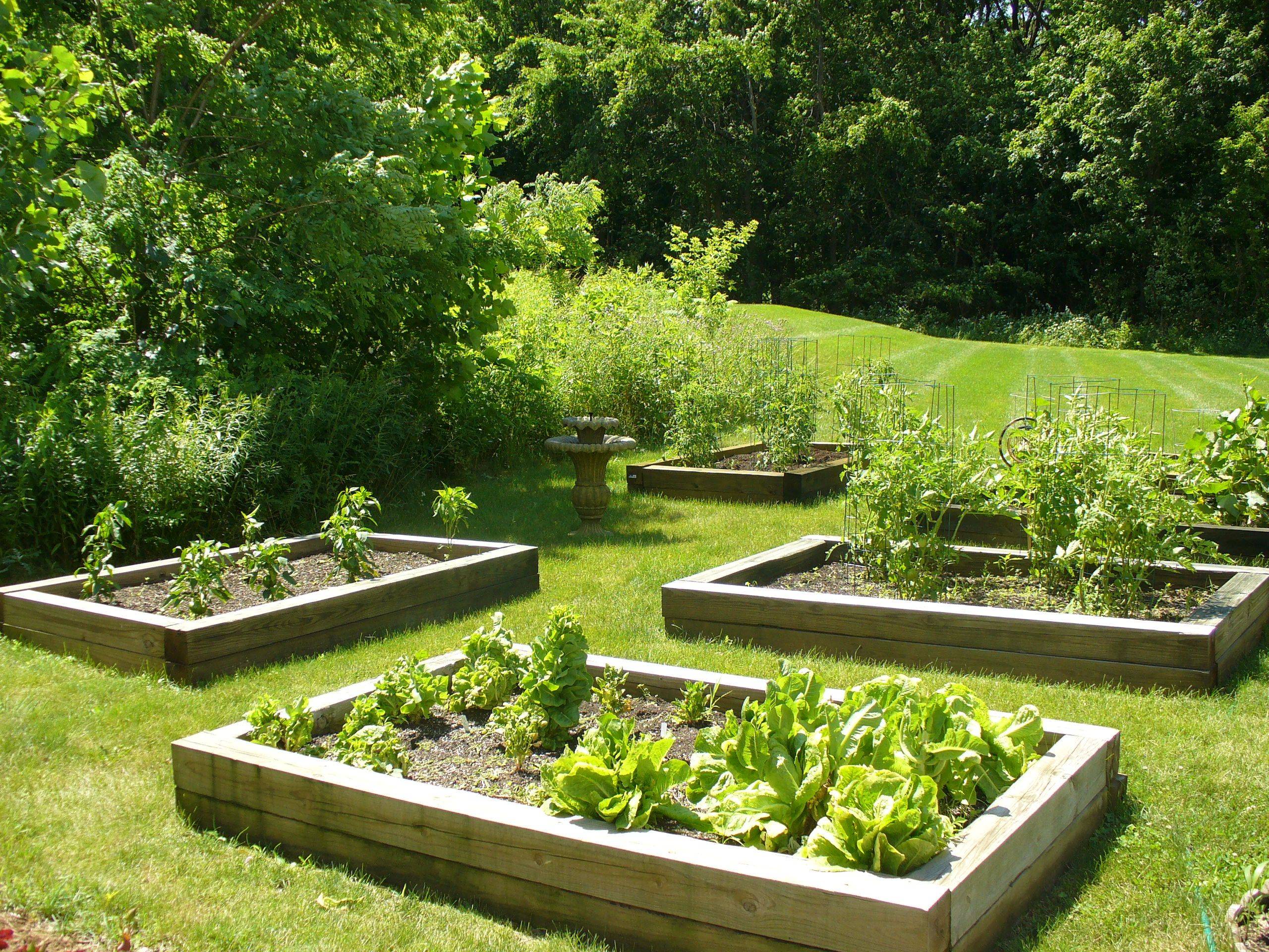 25 Dream Vegetable Garden Ideas To Try This Year | SharonSable