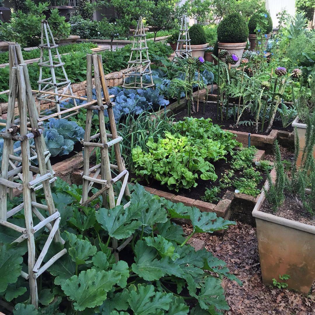 25 Dream Vegetable Garden Ideas To Try This Year | SharonSable