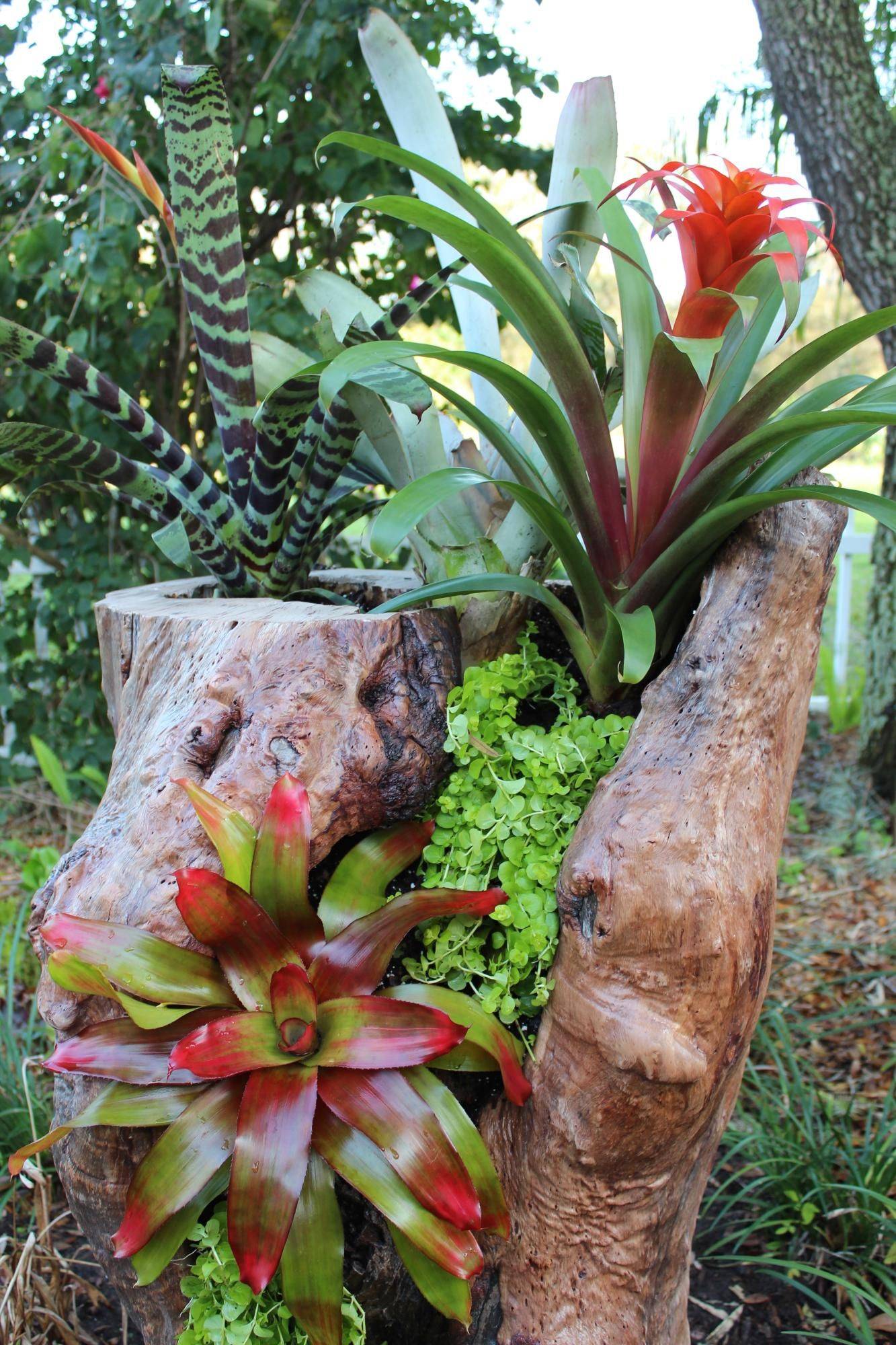 24 Ideas for Gardenscapes For This Year | SharonSable