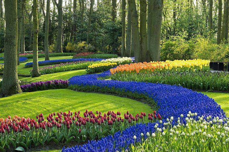 24 Backyard Flower Gardenscapes Ideas You Must Look | SharonSable