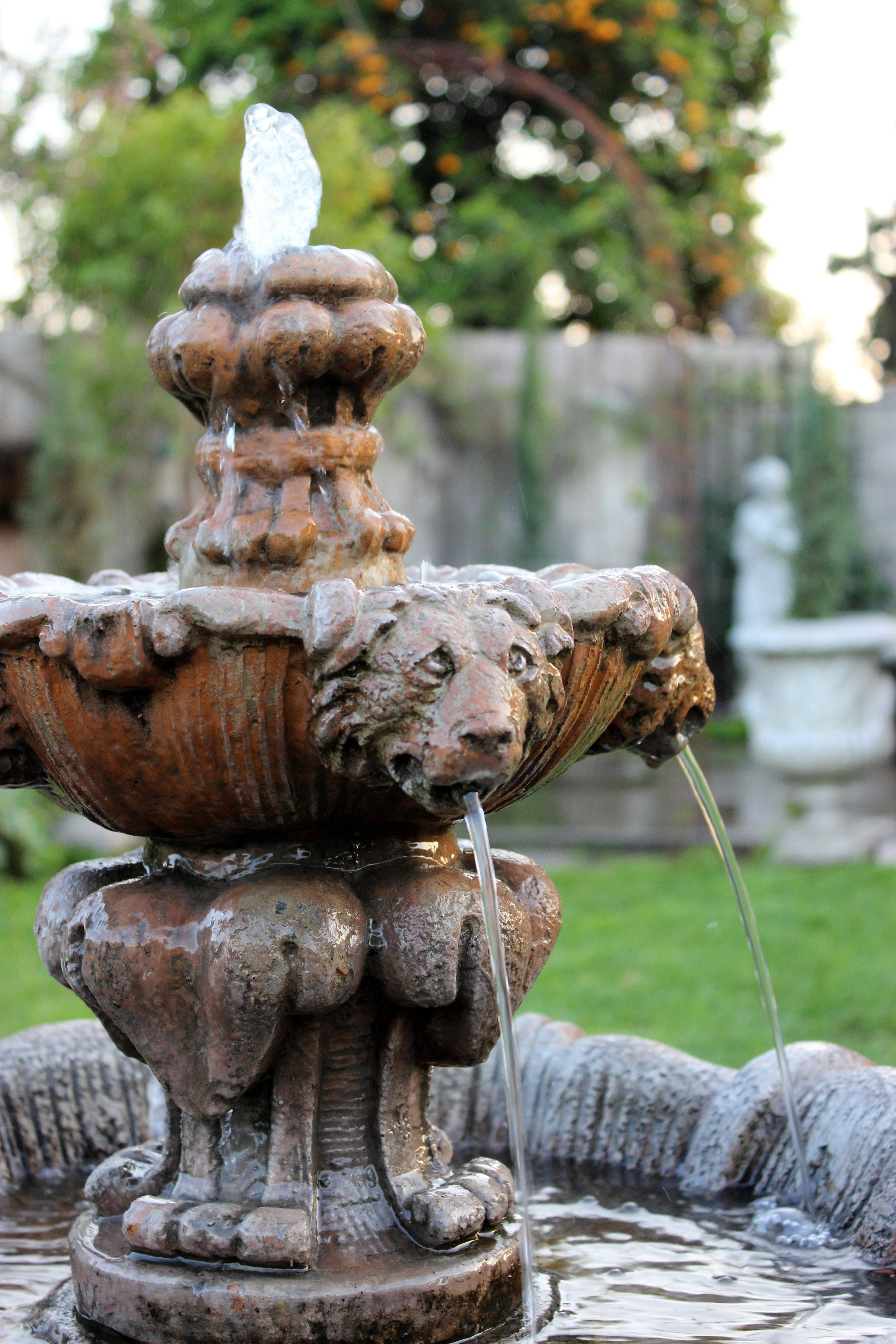 22 Lion Head Outdoor Garden Fountain Ideas For This Year | SharonSable