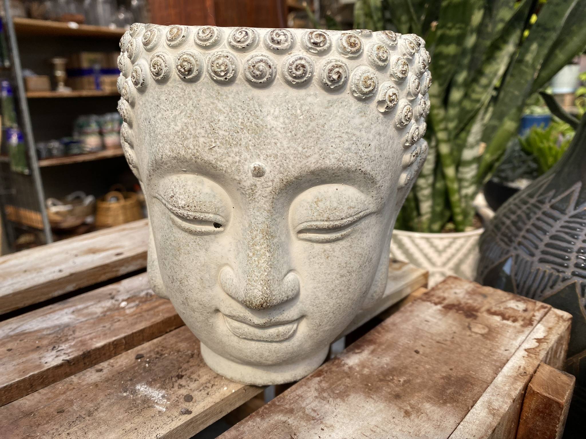 23 Garden Buddha Head Ideas Worth a Look | SharonSable
