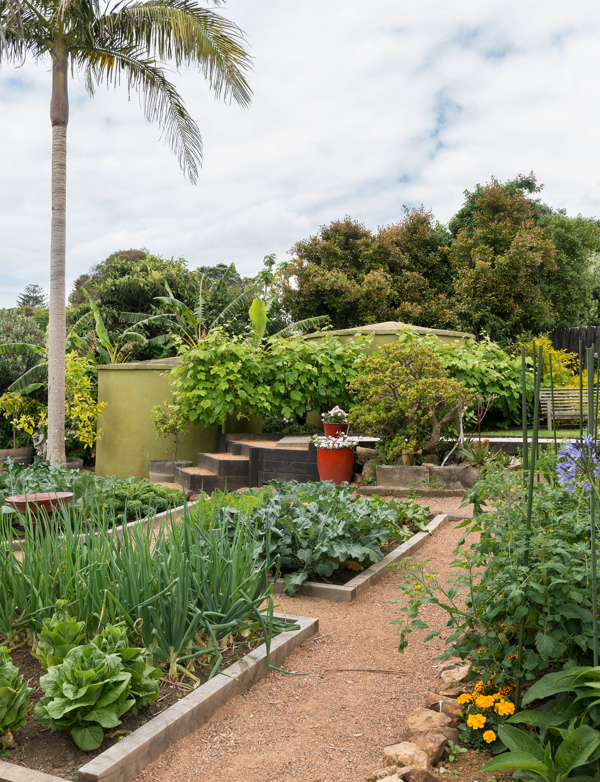 23 Productive Garden Design Ideas You Gonna Love | SharonSable