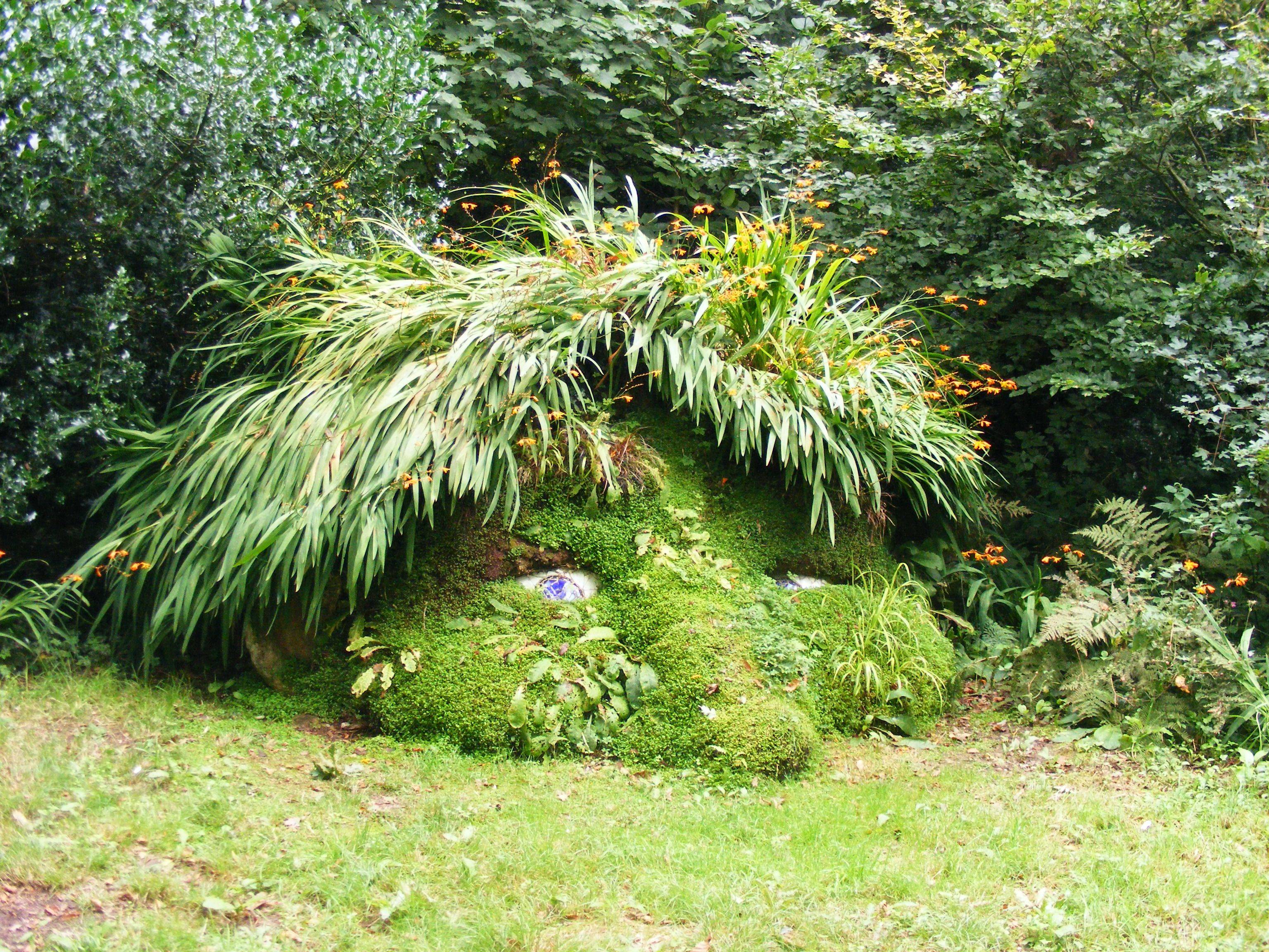 25 Heligan Garden Ideas To Try This Year | SharonSable