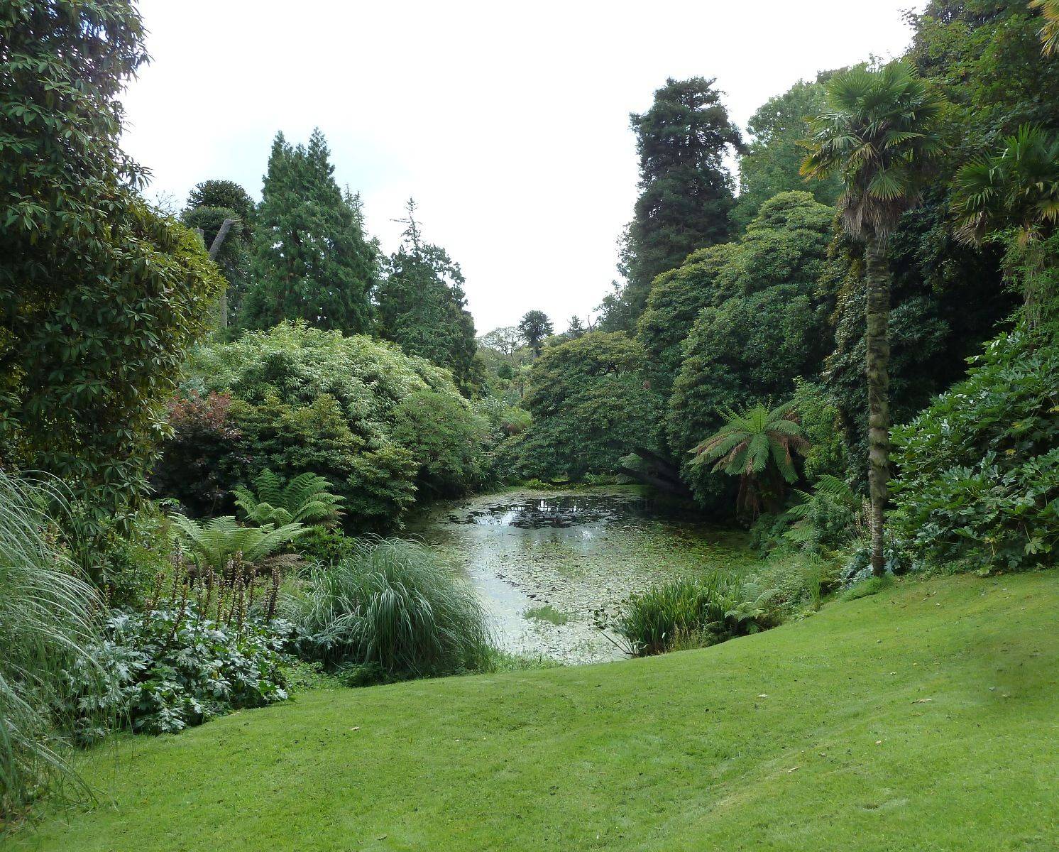 25 Heligan Garden Ideas To Try This Year | SharonSable