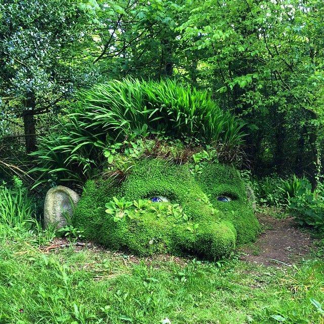 25 Heligan Garden Ideas To Try This Year | SharonSable