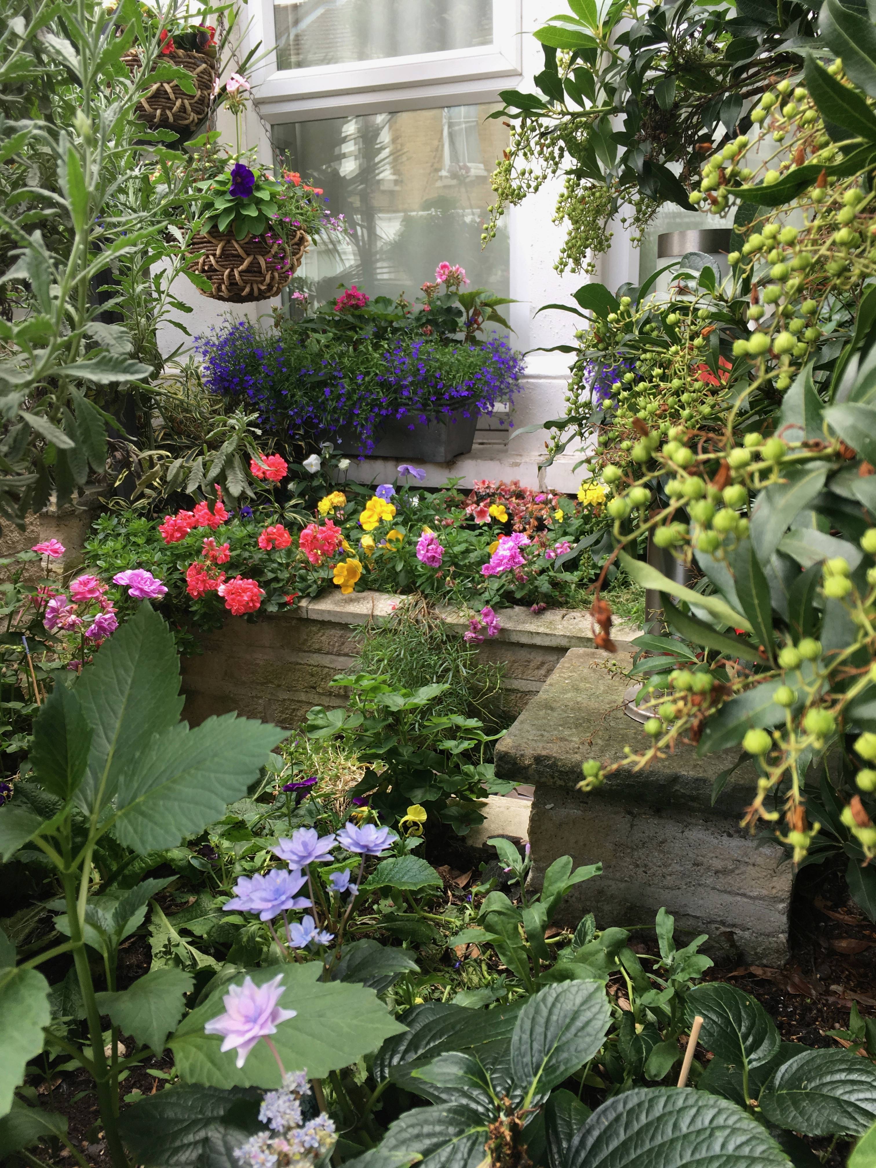 20 Terraced House Garden Ideas For This Year | SharonSable