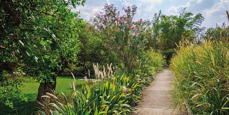 25 Indian Garden Design Ideas You Cannot Miss | SharonSable