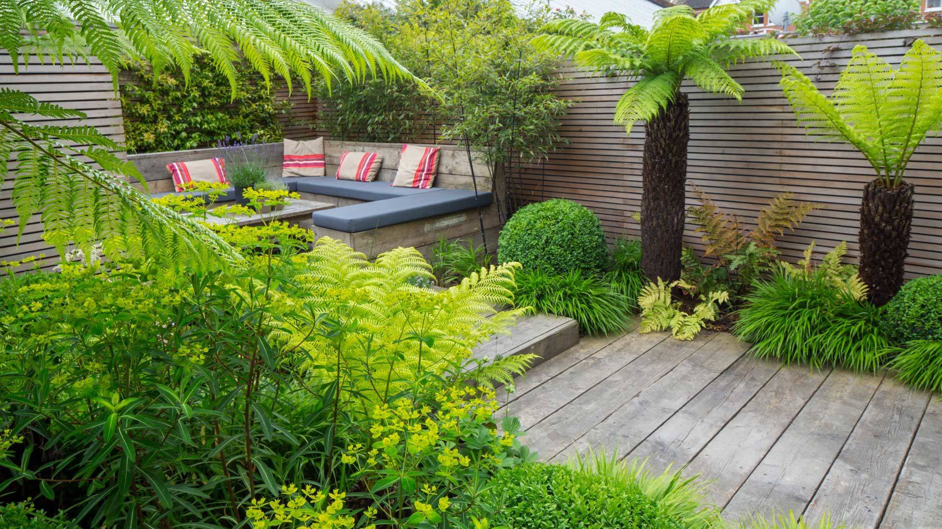 20 Small Garden Ideas Australia You Should Look | SharonSable