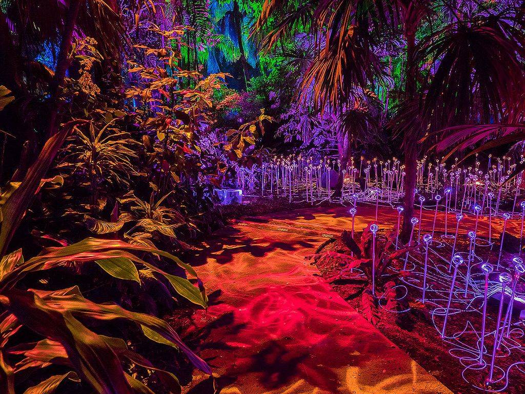 23 Night Botanical Garden Ideas Worth to Check | SharonSable