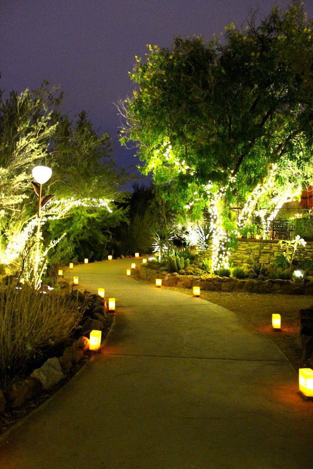 23 Night Botanical Garden Ideas Worth to Check | SharonSable